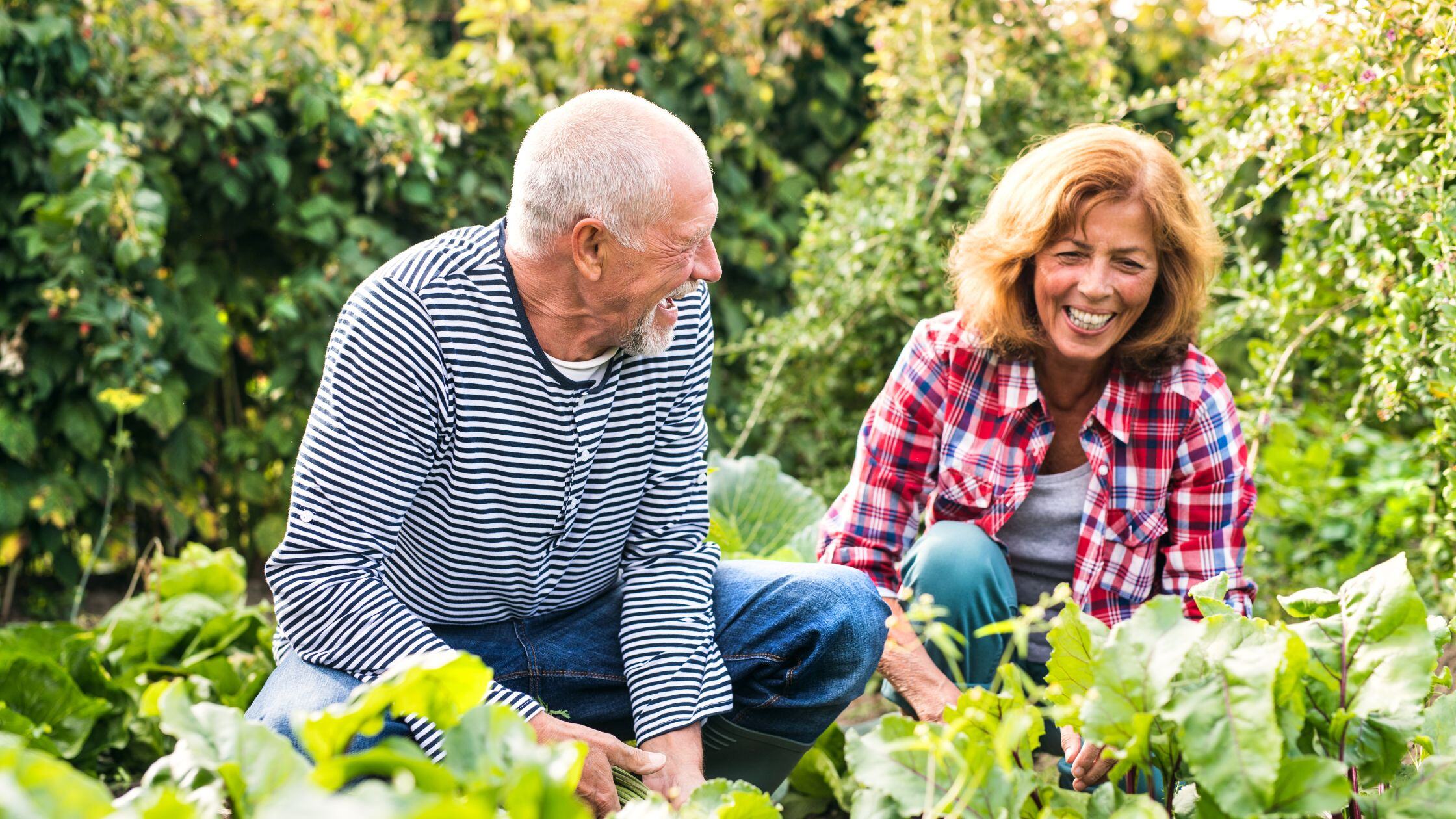 Gardening as Physical Activity: Benefits, Exercises, and Health Tips